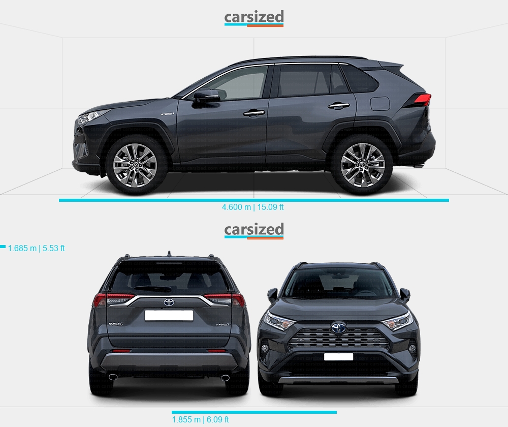 Toyota RAV4 2019-presente Dimensiones Vista lateral