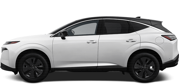 Dimensions: Nissan Murano 2024-present vs. Cupra Terramar 2024-present